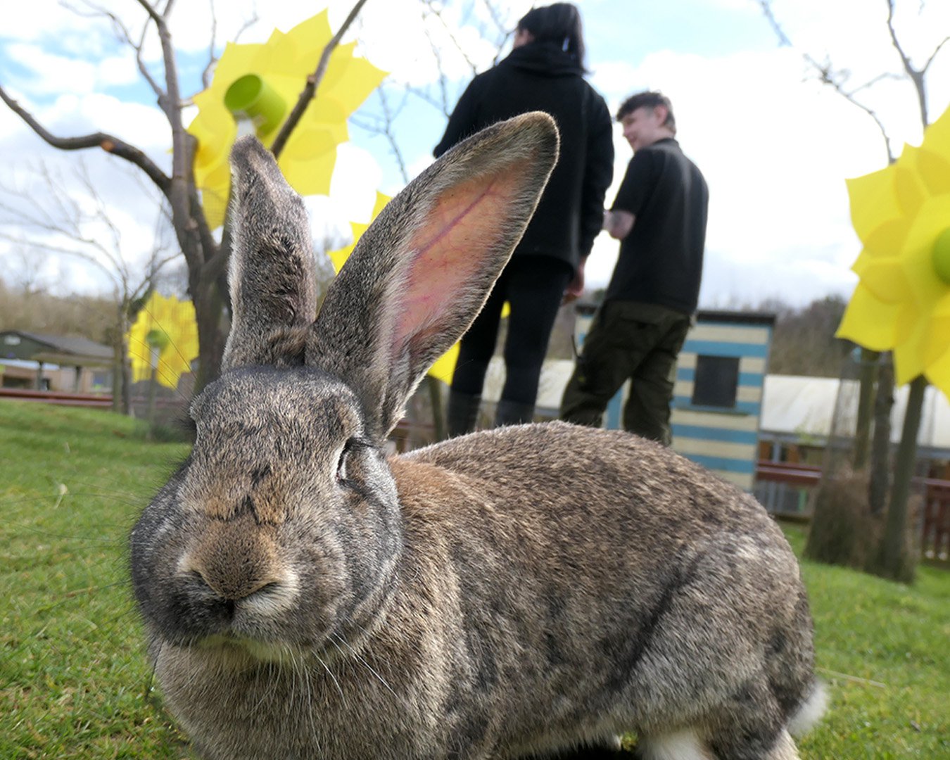 Home [www.almondvalley.co.uk]